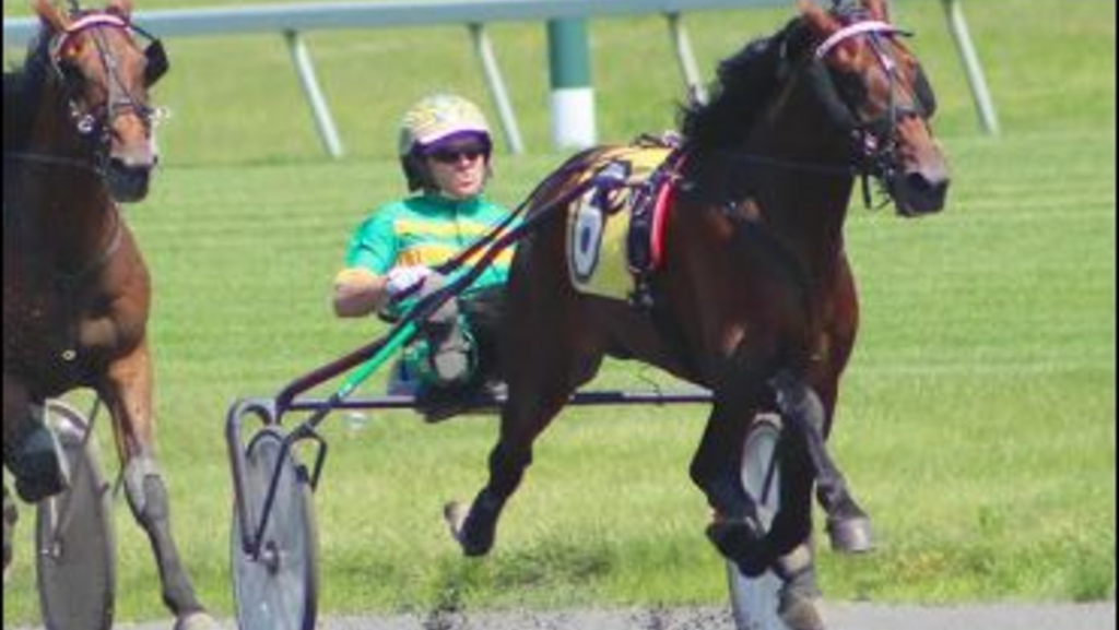 25thANNUAL STALLION BREEDINGS AUCTION TO BENEFIT NEW VOCATIONS Bid ...