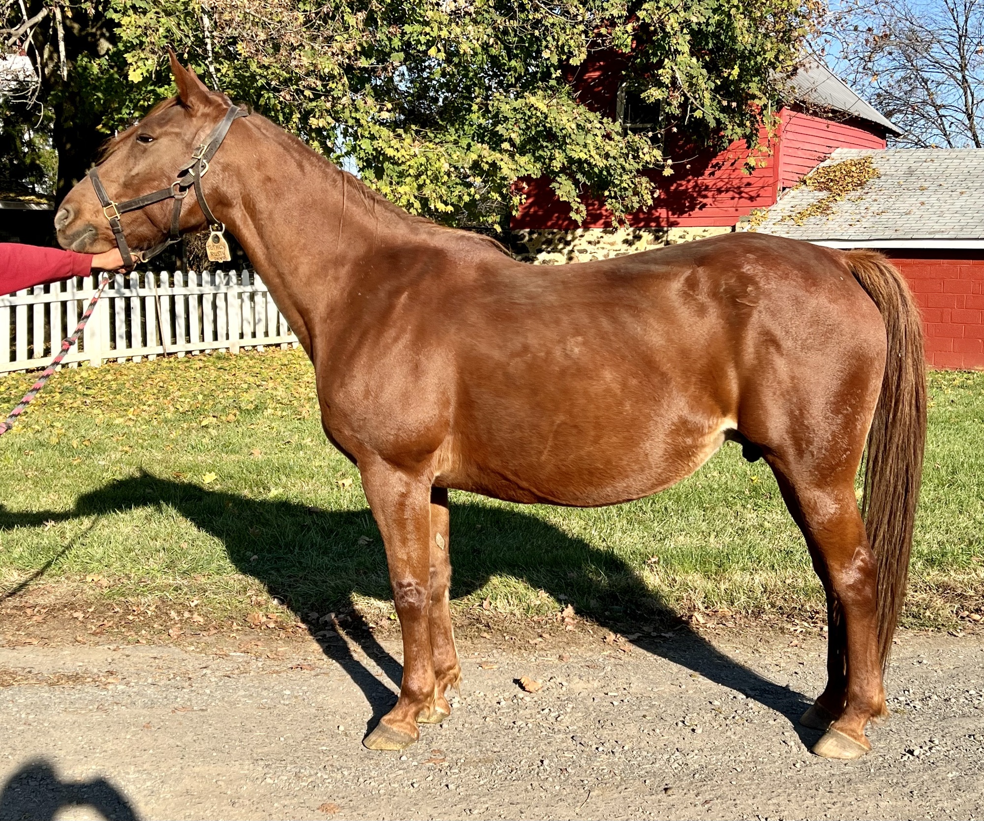 2023 ONGAIT FALL MIXED SALE - onGait