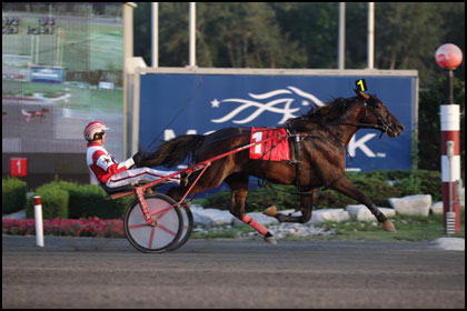 27th ANNUAL STALLION AUCTION TO BENEFIT NEW VOCATIONS Bid Online ...