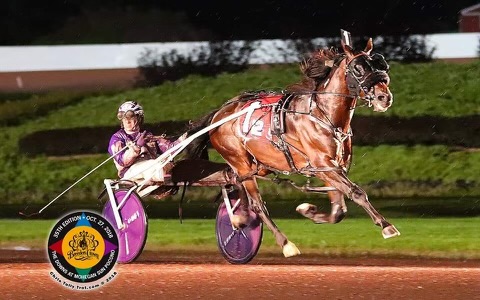 RON BURKE STABLE RACEHORSEREDUCTION Bidding Ends ThursdayAfternoon - onGait