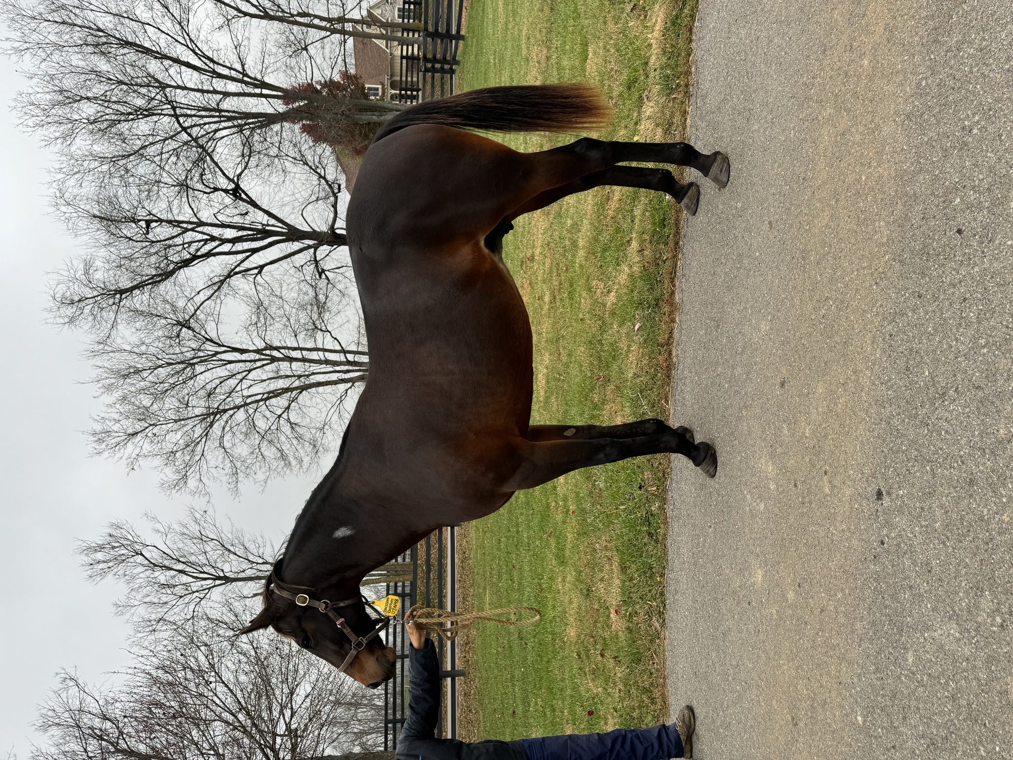 2023 ONGAIT FALL MIXED SALE - onGait