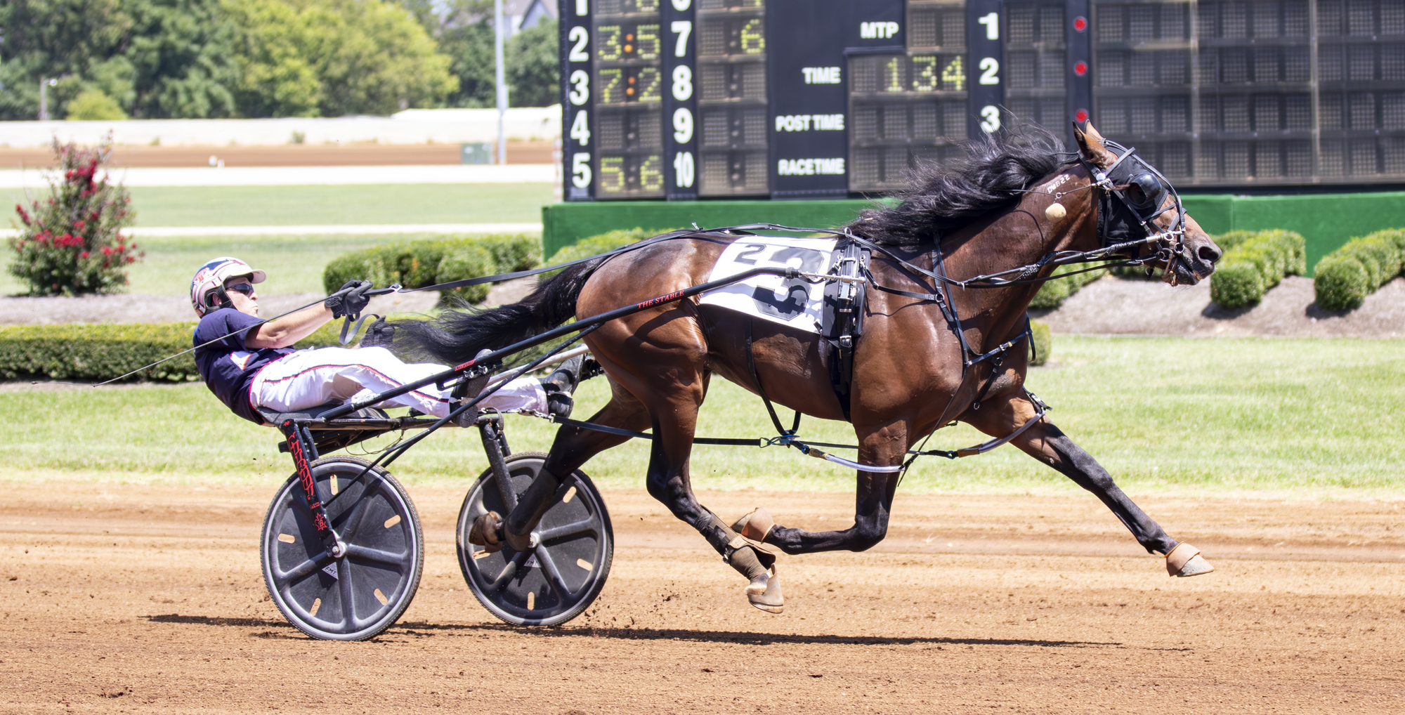 2025 OHHA P.A.C.E.R. STALLION BREEDINGS AUCTION BIDDING ENDS SATURDAY ...