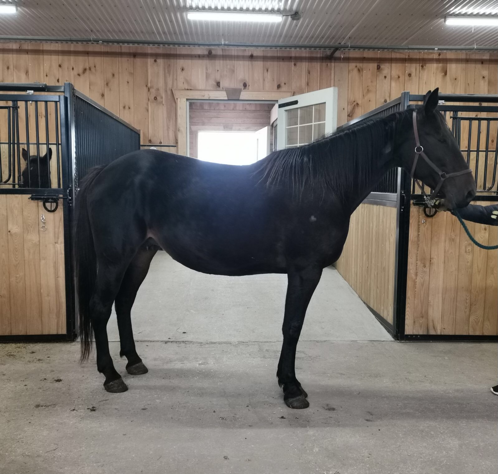 2023 ONGAIT FALL MIXED SALE - onGait